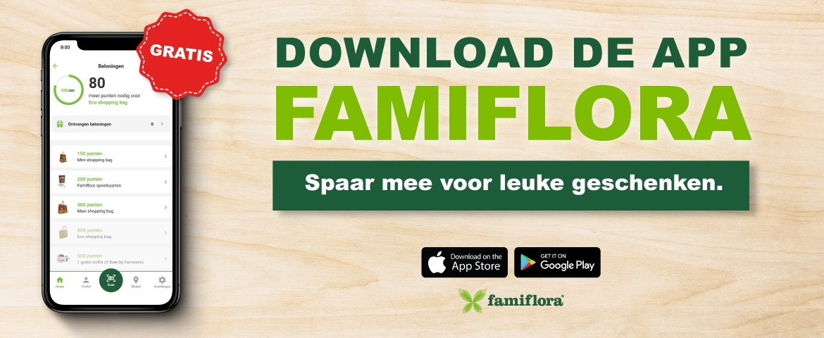 Famiflora