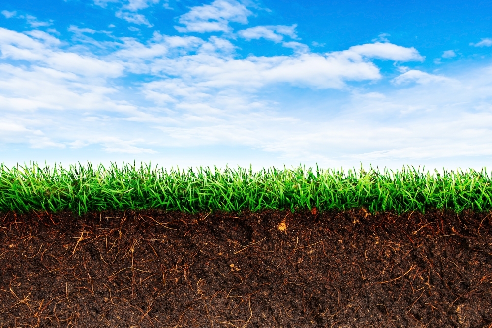 Optez pour un beau gazon - Famiflora ouvert 7/7