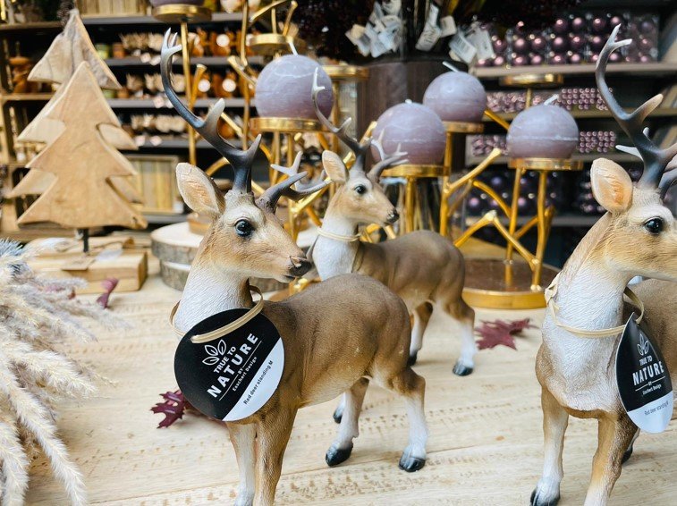 Un Noël en forêt - Noël chez Famiflora - Famiflora ouvert 7/7