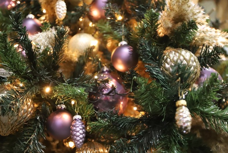 Un Noël en forêt - Noël chez Famiflora - Famiflora ouvert 7/7